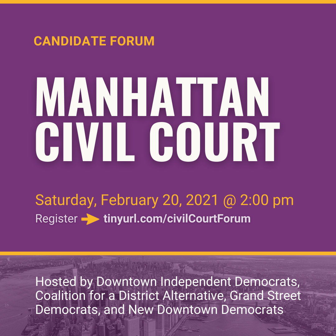 Feb. 20: Civil Court Candidate Forum - Grand Street Democrats